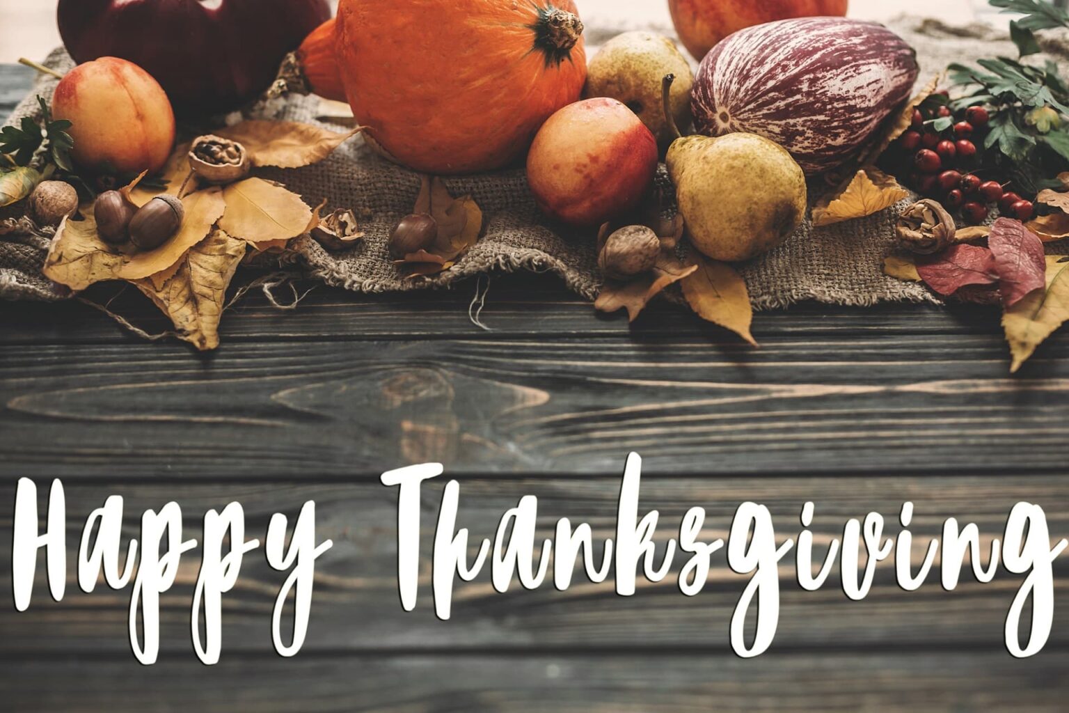 Happy Thanksgiving – Cook & Co. News