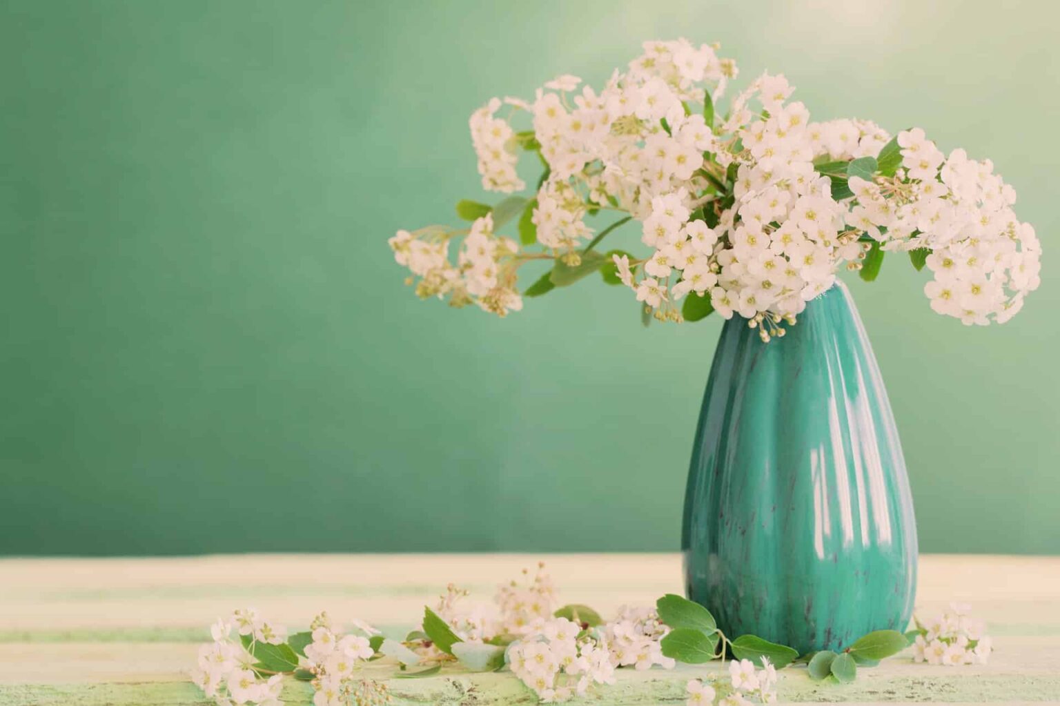 The First Day of Spring – Cook & Co. News